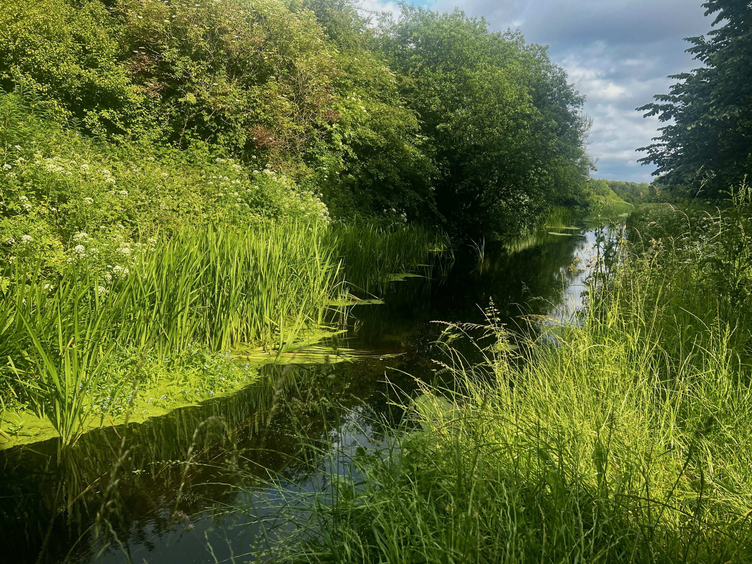 The Farleton Fell Loop - Lancaster Canal Towpath Trail
