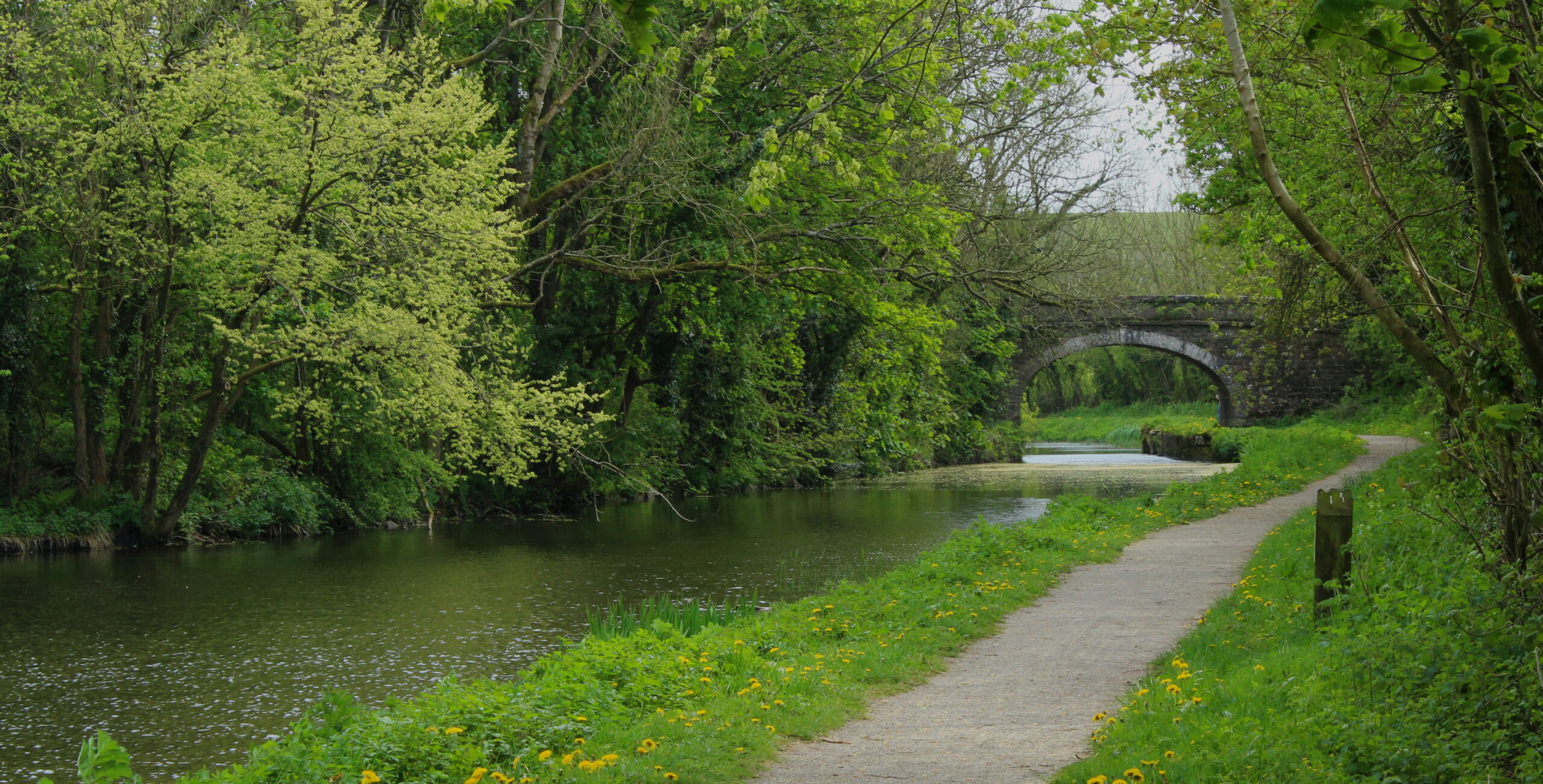Appreciate It - Lancaster Canal Towpath Trail